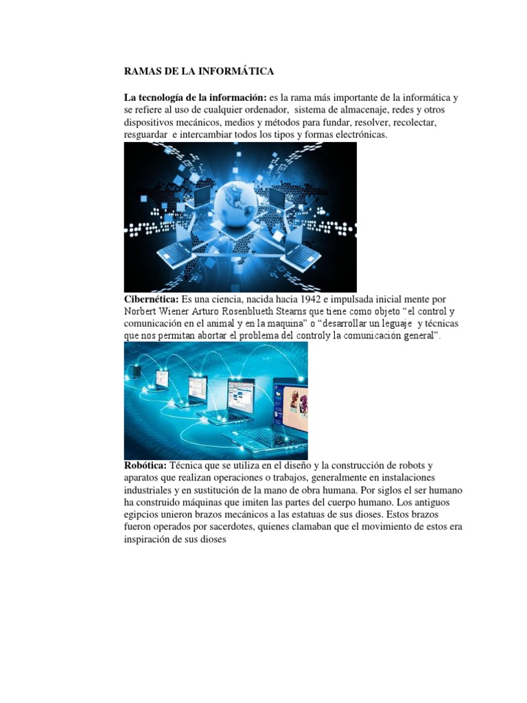 Ramas de La Informática | PDF | Mecatrónica | Informática