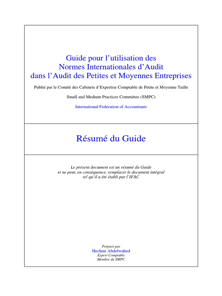 guide d'audit IFAC.pdf | Contrôle interne | Audit