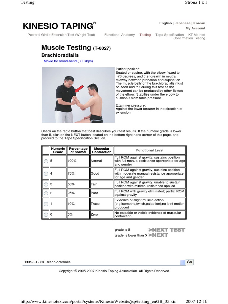 Brachioradialis Test | PDF | Anatomical Terms Of Motion | Elbow