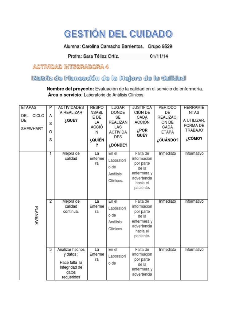 Actividad Integradora 4 Gestión Del Cuidado 011114 | PDF | Enfermería | Calidad (comercial)