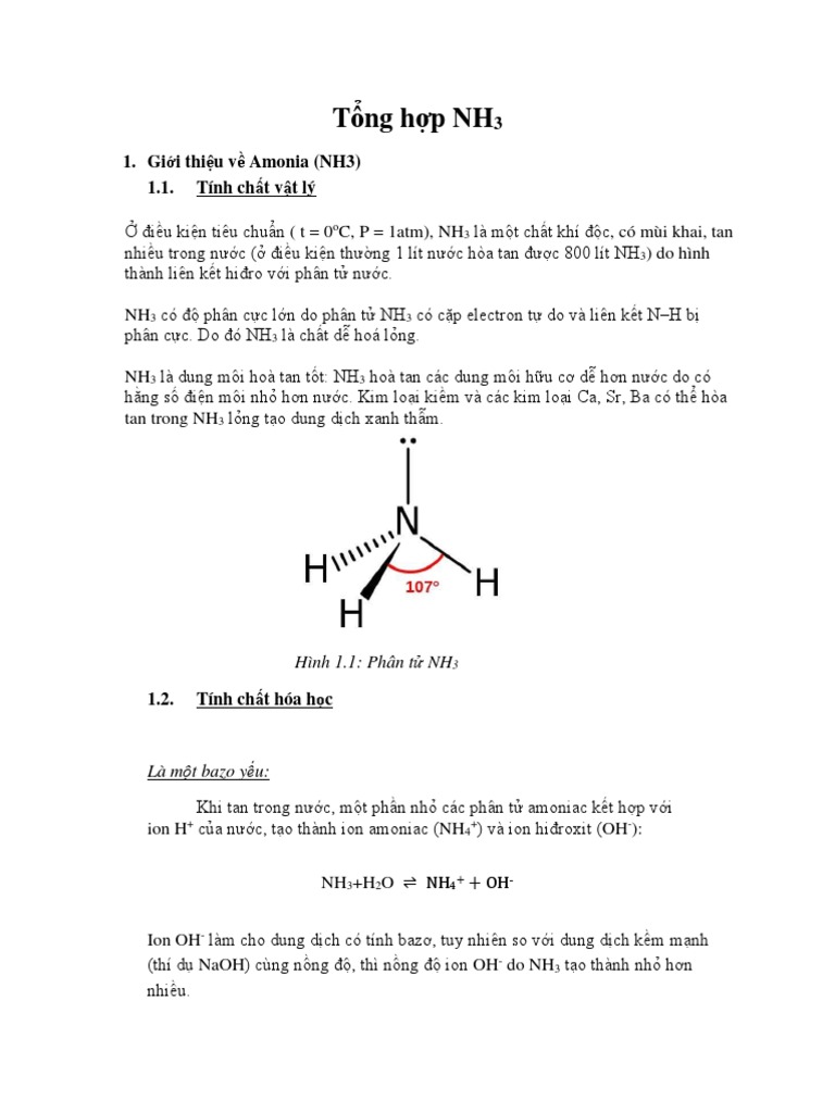 T NG H P NH3 | PDF