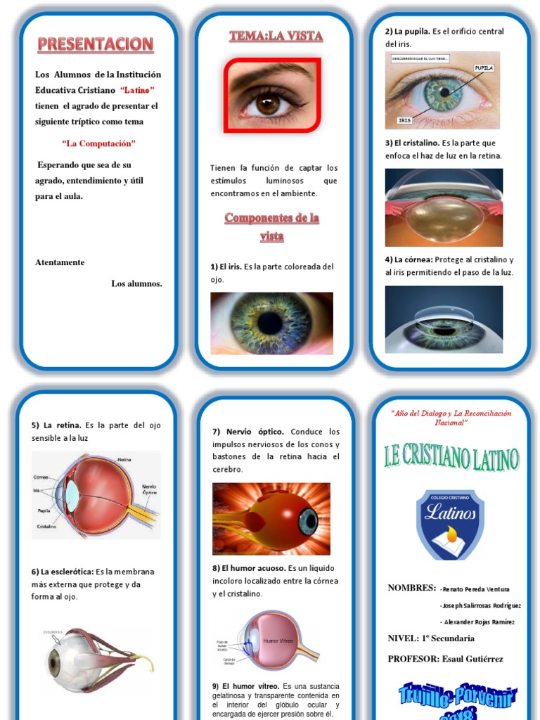 Triptico de La Vista | PDF | Ojo humano | Percepción visual