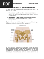 Nalgografia | PDF | Nalgas | Anatomía humana