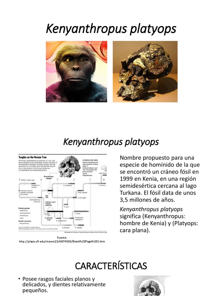 Kenyanthropus Platyops | PDF | Naturaleza
