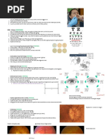 Cranial Nerves Examination Checklist | PDF | Human Head And Neck ...