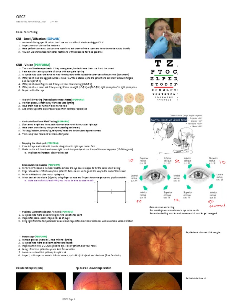 Osce 2 | PDF | Vestibular System | Anatomical Terms Of Motion