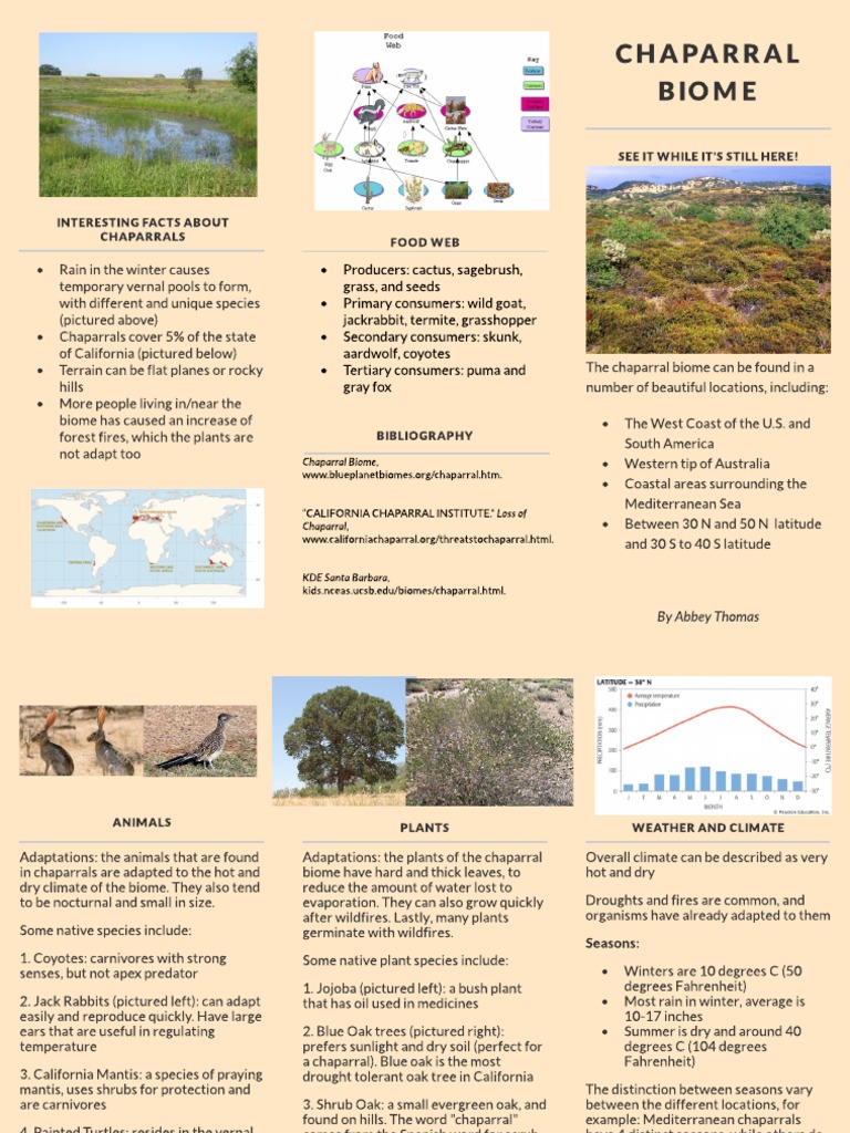 Chaparral Biome: Ecosystem Overview | PDF | Plants | Horticulture And ...