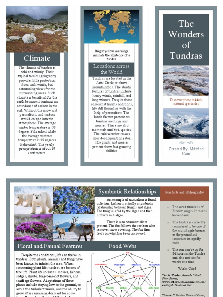 Mairead's Tundra Travel Brochure | PDF | Earth Sciences | Physical ...