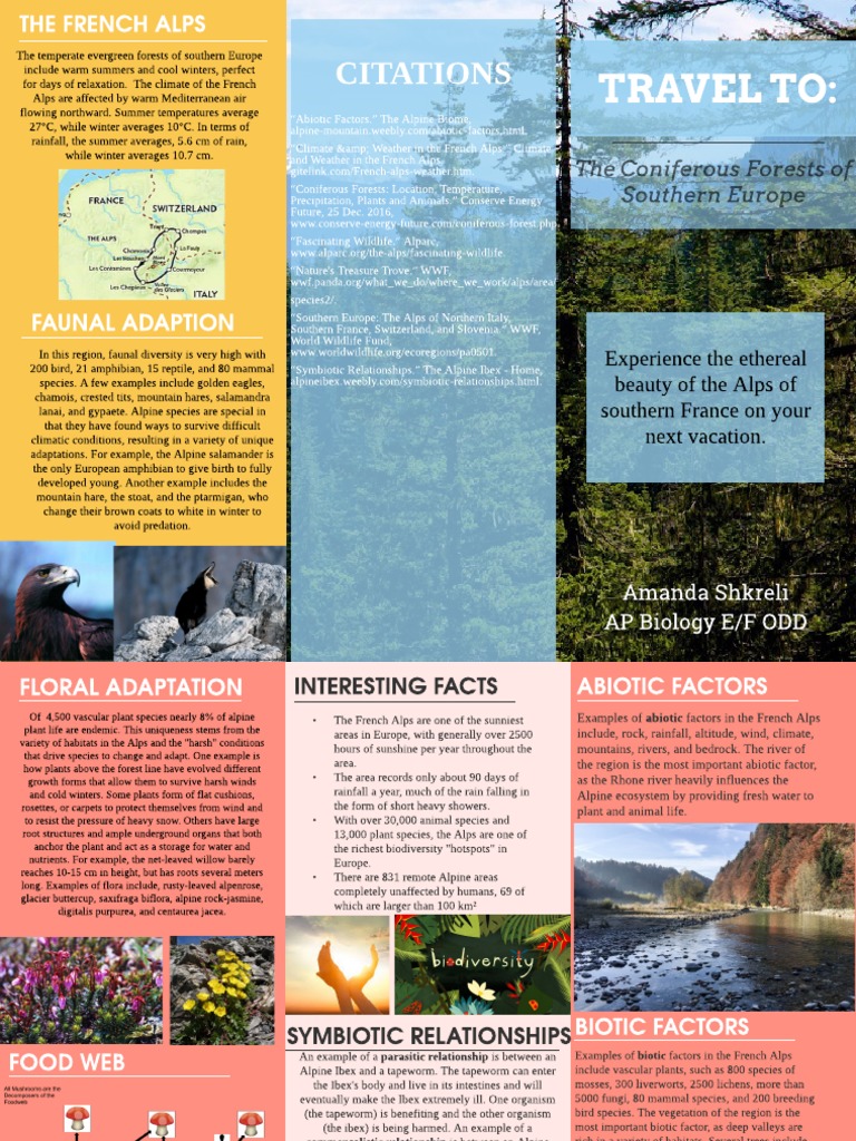 Amanda's Alpine Vista Travel Brochure | PDF | Alps | Plants