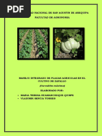CENTA. Guía Técnica Del Cultivo de Zapote | PDF | Injerto | Riego