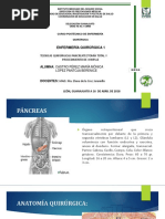 RAFI | PDF | Cirugía | Enfermería