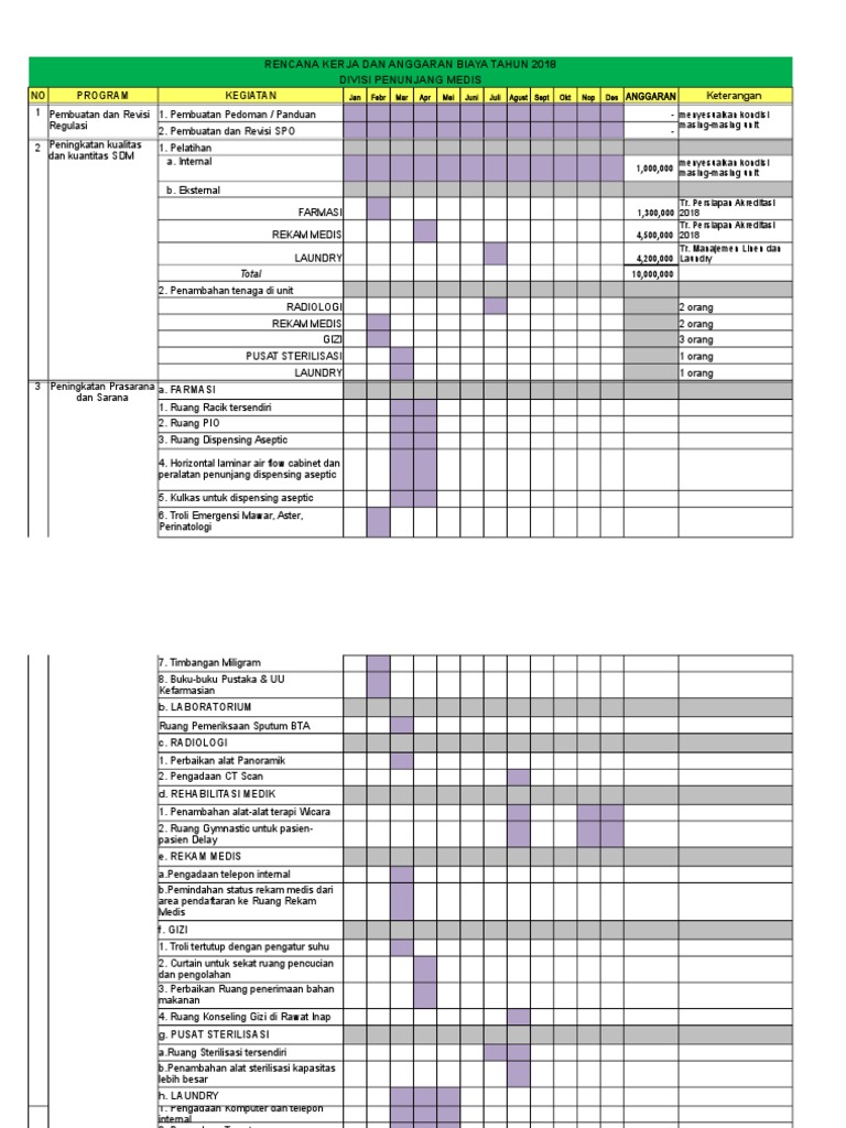 RKA 2018 Penunjang Medis | PDF