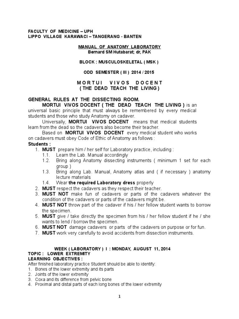 Anatomy Laboratory Manual: MSK Block | PDF | Human Leg | Vertebra