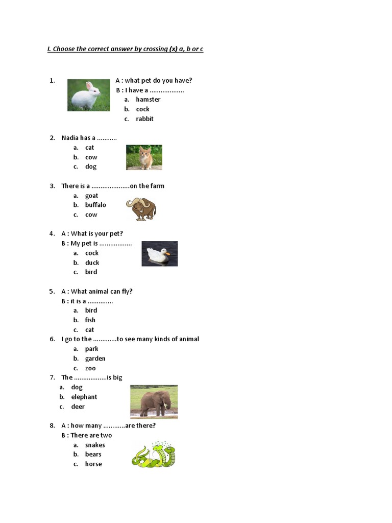 Soal Bahasa Inggris Kelas 6 Sd Animals - Wulan Tugas
