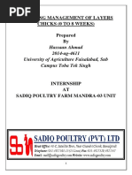 Layer Poultry Vaccination Schedule | PDF | Health Care | Diseases And ...