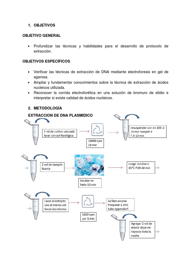 Biomol | PDF | Adn | Plásmido