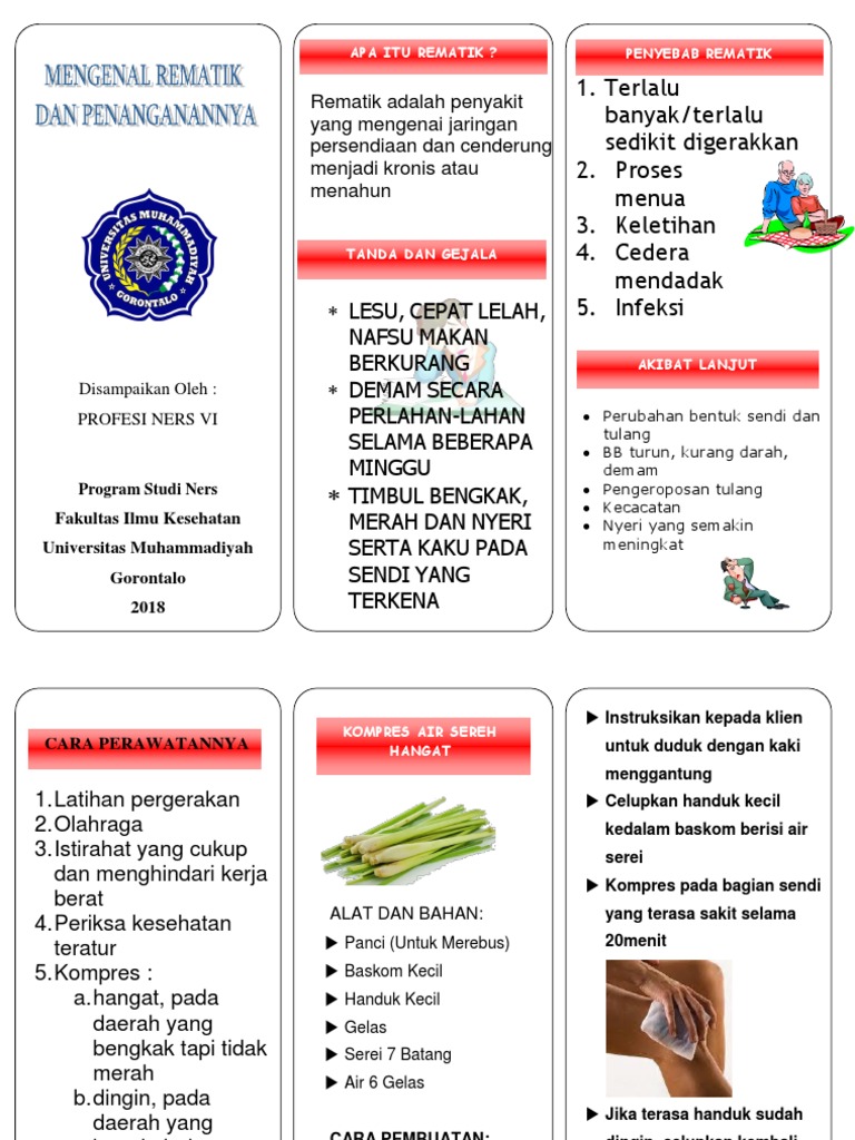 Leaflet Rematik | PDF
