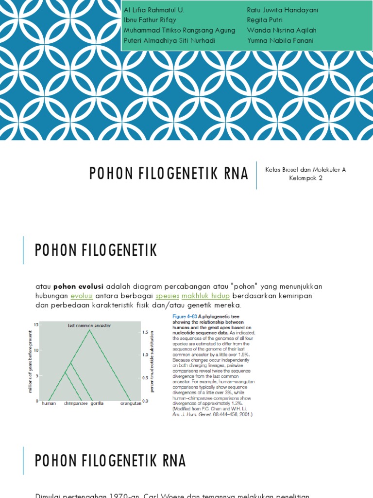Pohonn Filogenetik | PDF | Ilmu Sosial