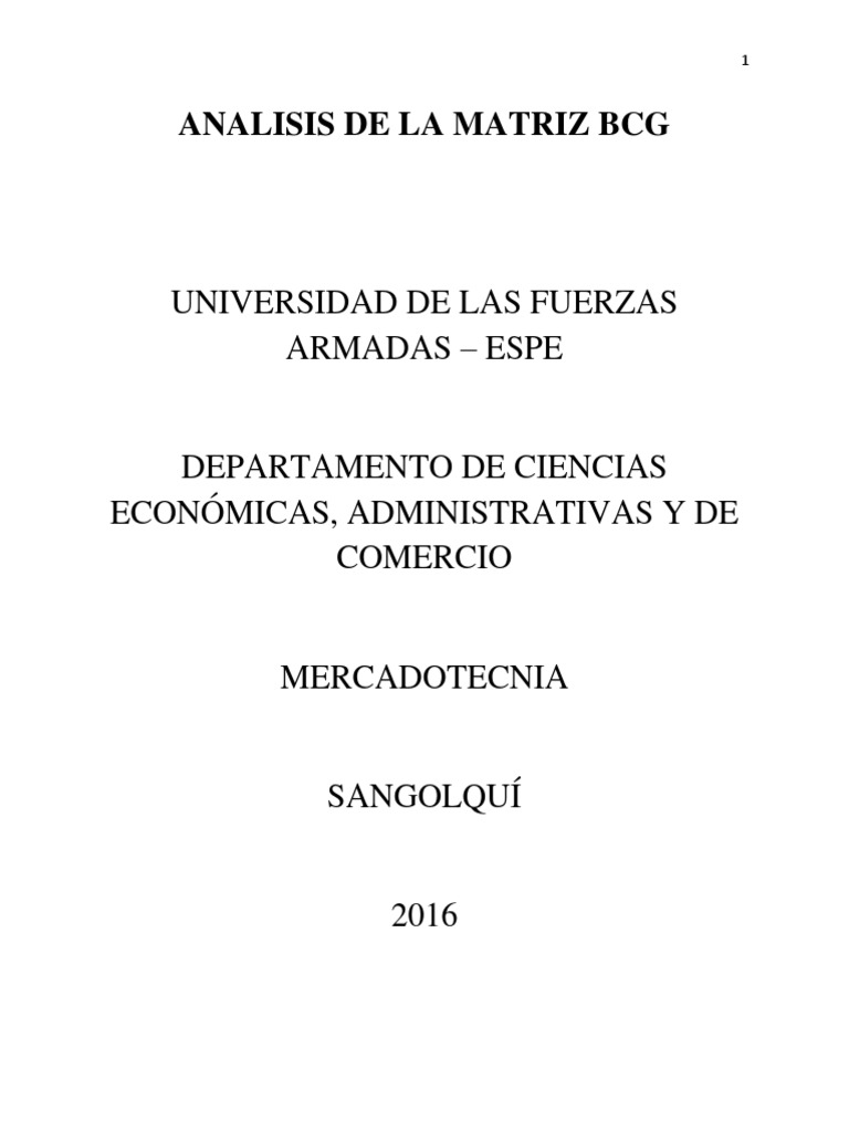 Analisis de La Matriz BSG | PDF
