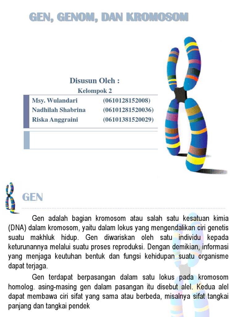 Struktur Gen, Genom, dan Kromosom | PDF