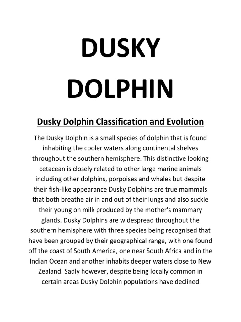 Dusky Dolphin Classification and Evolution | PDF | Dolphin | Cetacea