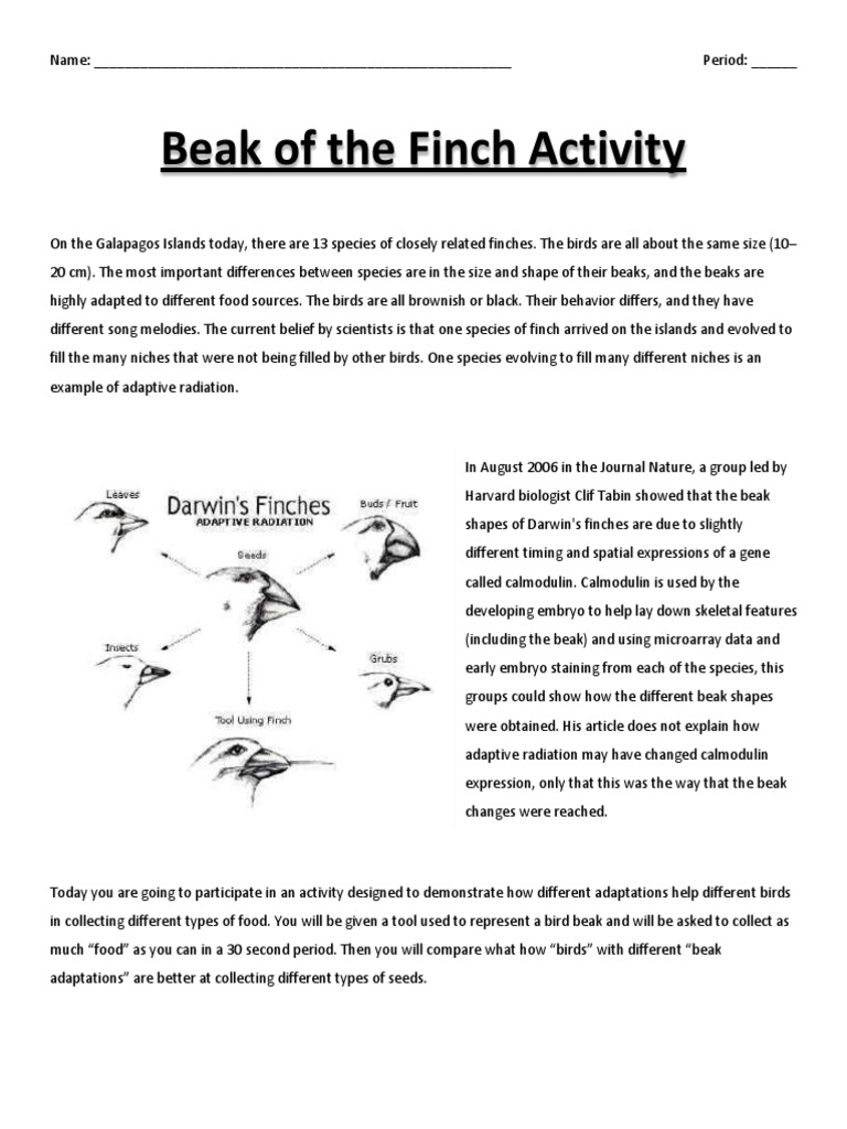 Beak of The Finch Activity | Download Free PDF | Species | Evolutionary ...