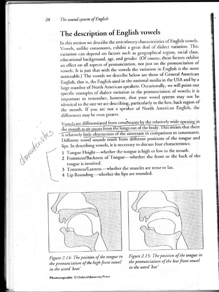 Articulation of Vowels | Vowel | English Language