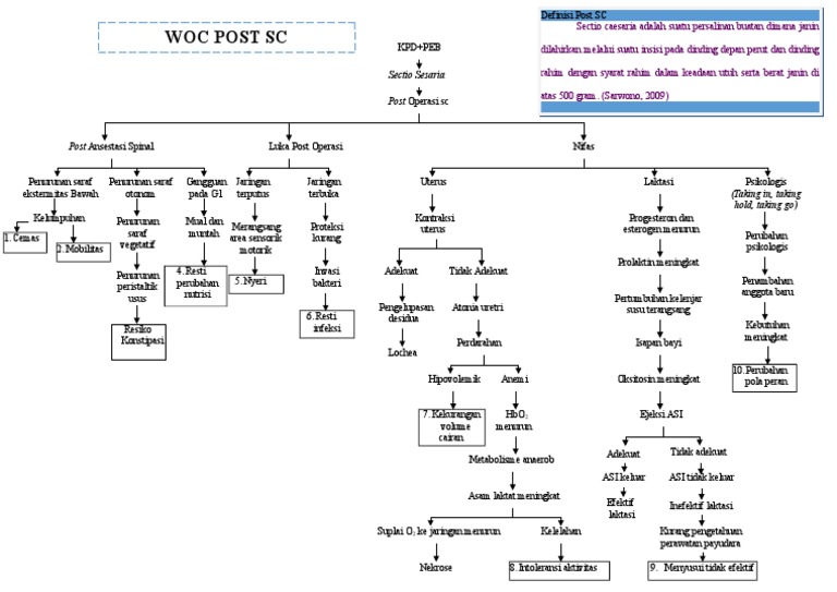 WOC Post Op SC | PDF