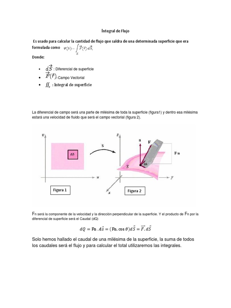 Integral de Flujo | PDF