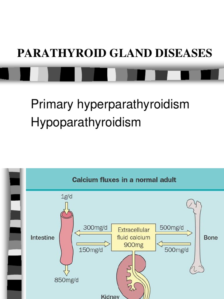 Parathyroid Gland Diseases: Primary hyperparathyroidism ...
