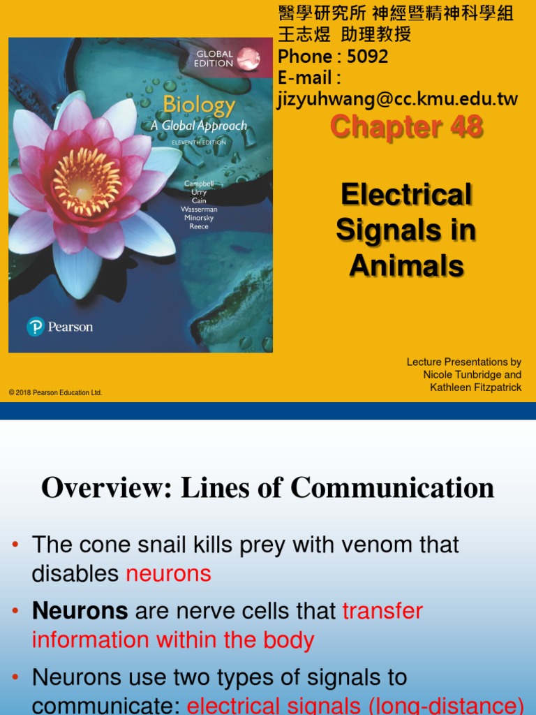 48 Electrical Signals in Animals-2018 PDF | Download Free PDF ...
