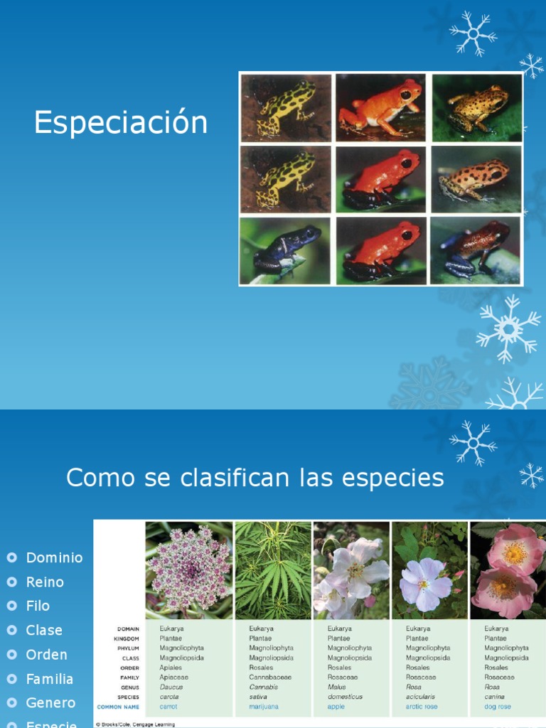 Especiacion | PDF | Evolución | Especies