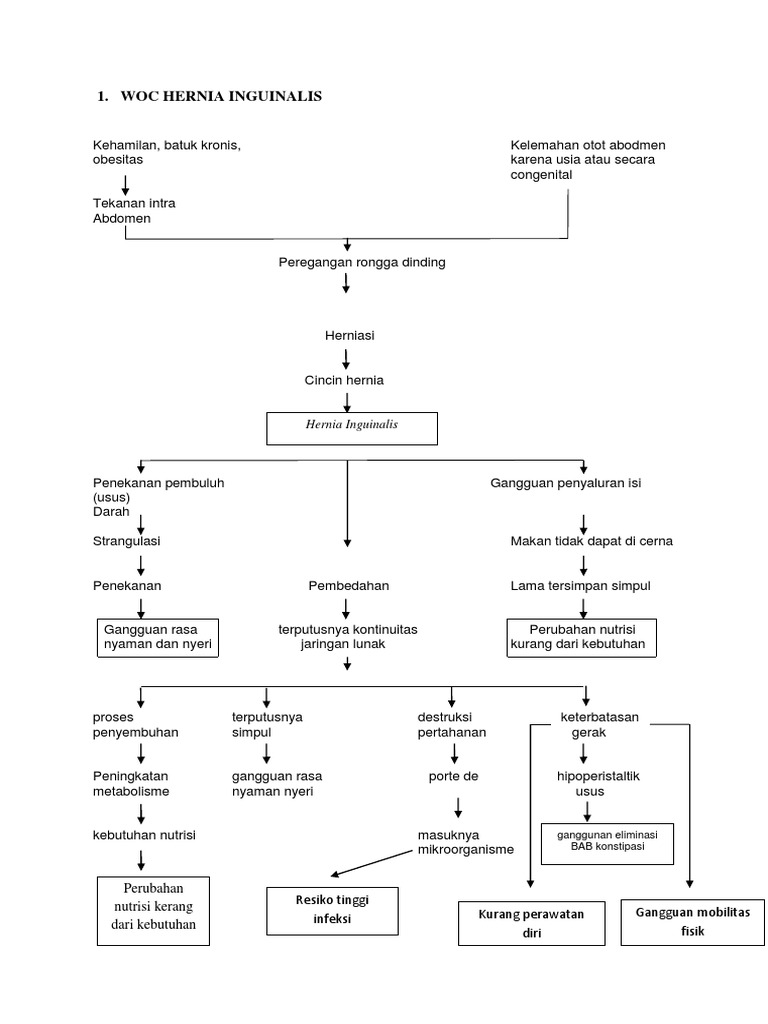 Woc Hernia Inguinalis | PDF