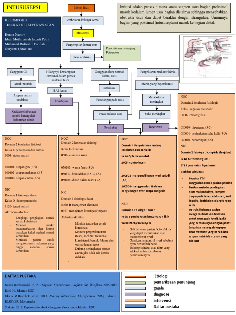 Woc Intususepsi | PDF