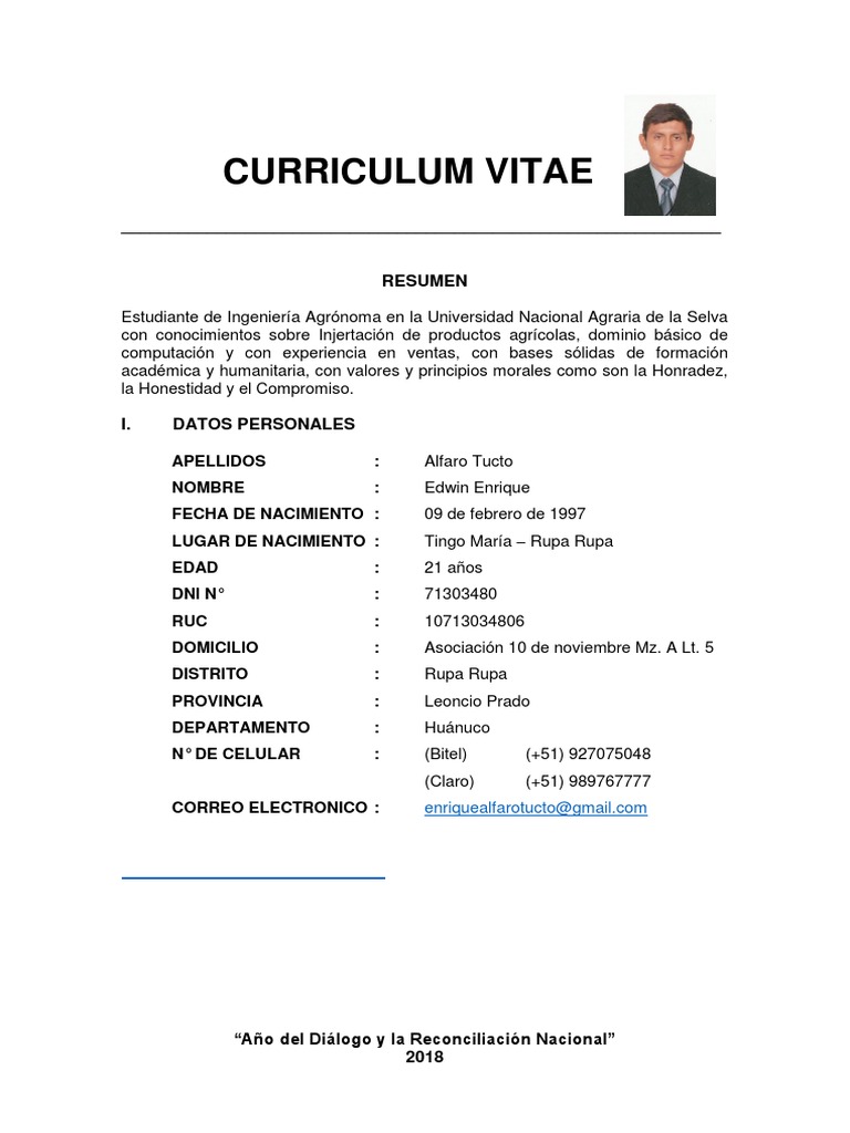 Curriculum Vitae Edwin | PDF | Ciencia y Tecnología | Plan de estudios