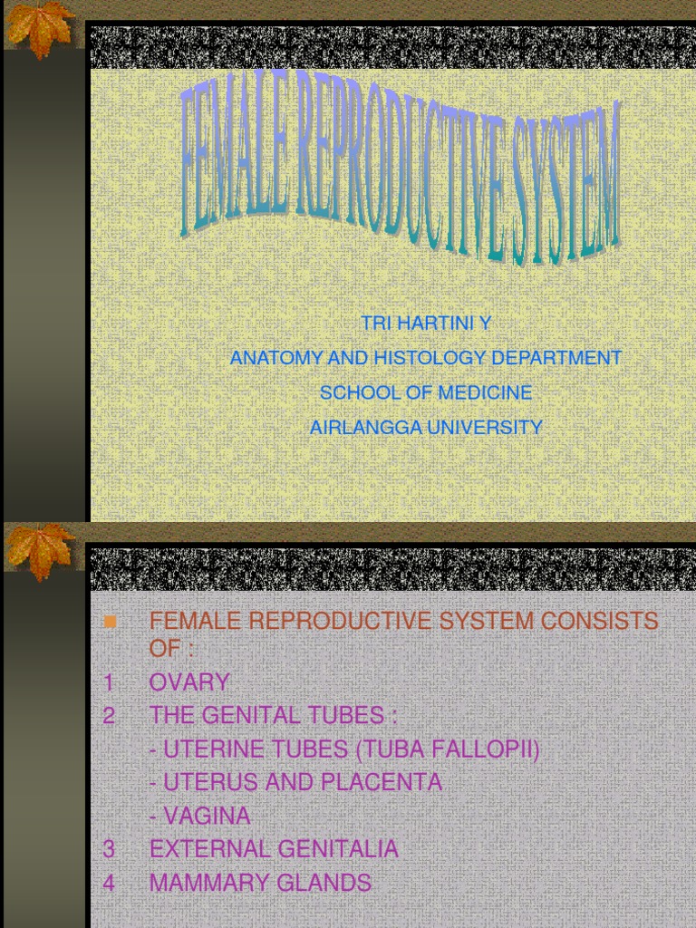 Female Reproductive System | PDF | Ovary | Epithelium