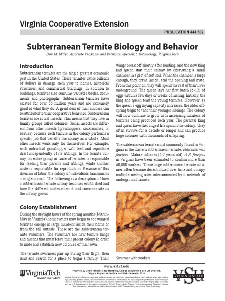 Subterranean Termite Biology Overview | PDF | Eusociality | Nest