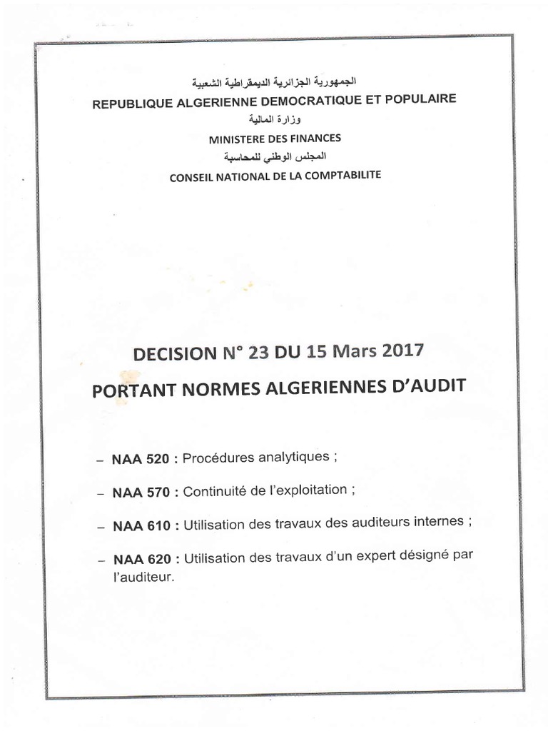Normes Algeriennes D'audit 520-570-610-620 PDF | PDF | Audit interne | Audit