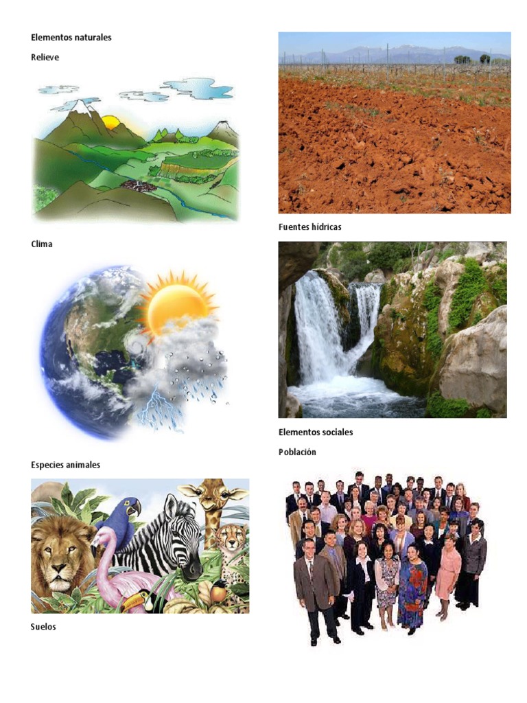 Elementos Naturales y Sociales | PDF