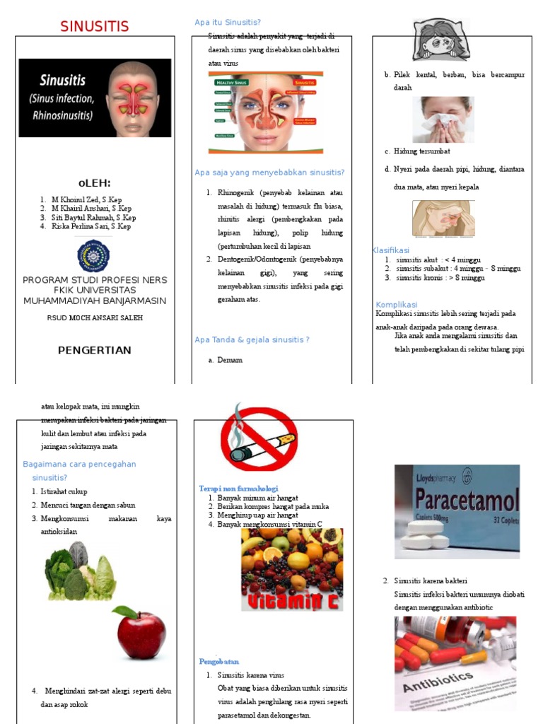 Leaflet Sinusitis - KMB 1 | PDF