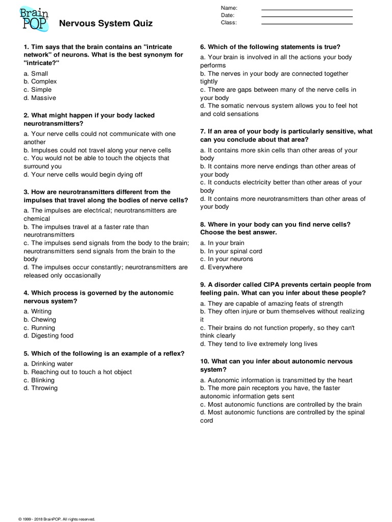Nervous System Quiz | PDF | Nervous System | Neuron
