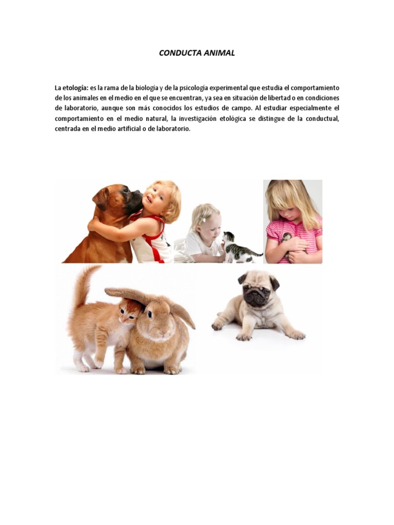 Conducta Animal | Descargar gratis PDF | Reproducción | Etología