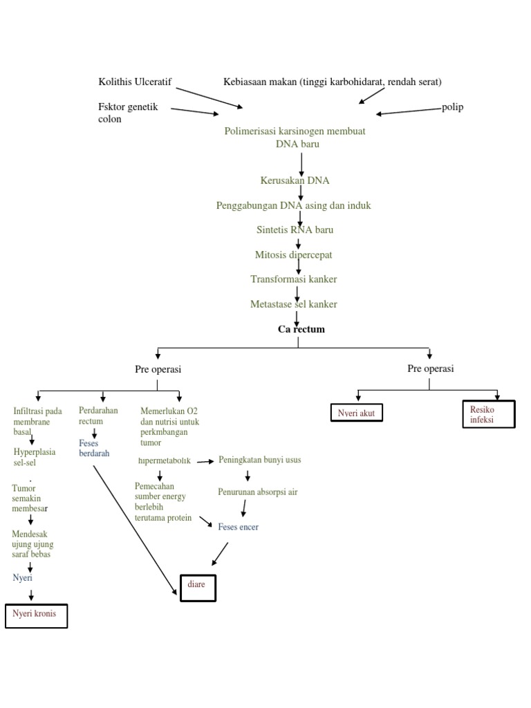 Woc CA Recti Fix | PDF