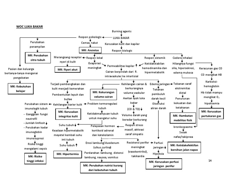 Woc Luka Bakar | PDF