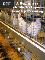 Poultry Feed Formulation Guide | PDF | Chicken | Maize