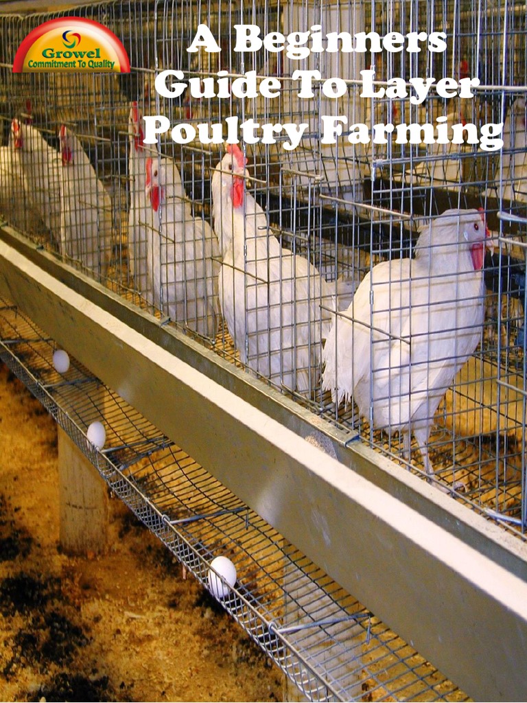 A Beginners Guide To Poultry Layer Farming | PDF | Poultry Farming ...