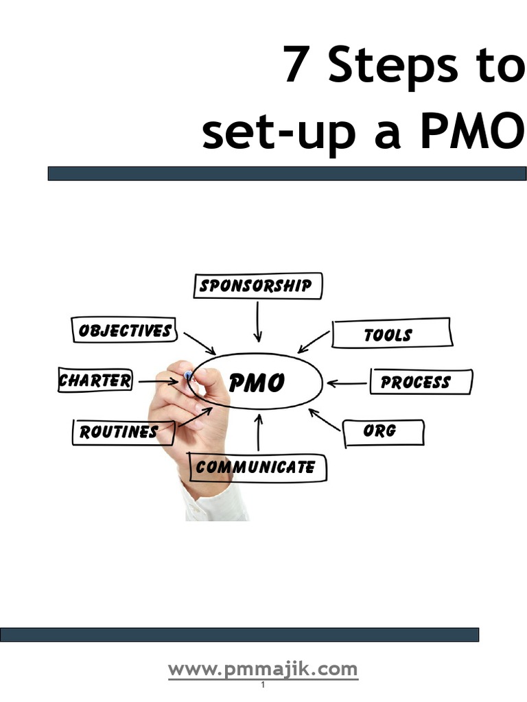 7 Steps To Set Up A PMO 2017 | PDF | Business