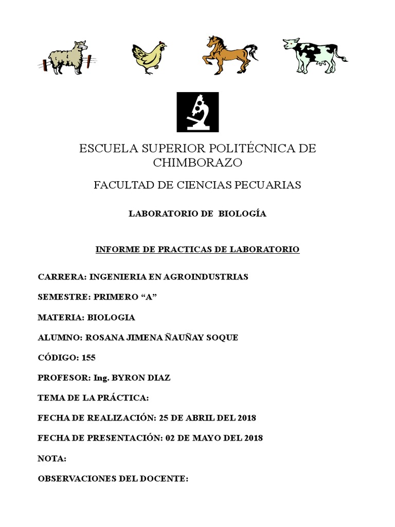 Formato Informe de Laboratorio | PDF | Laboratorios | Microscopio