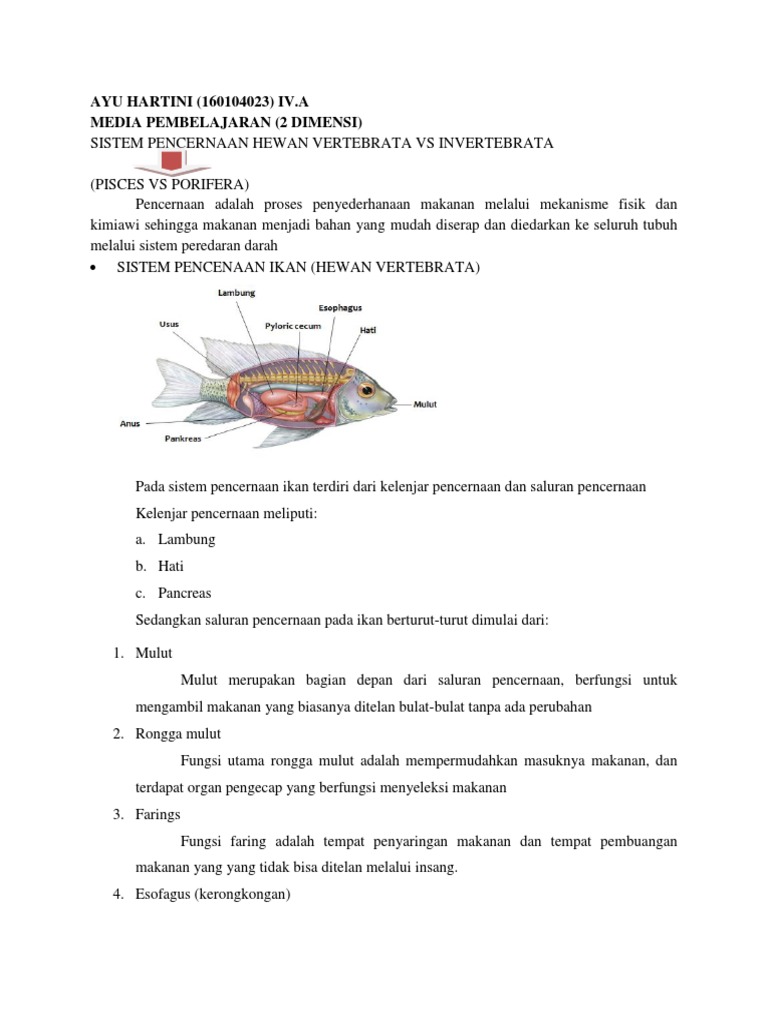 Ikan | PDF