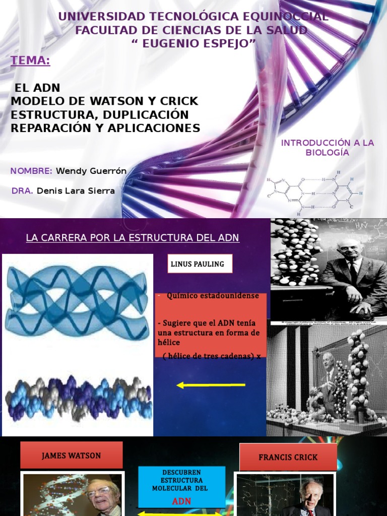 Adn Exposicion | PDF | Replicación De Adn | Francis Crick